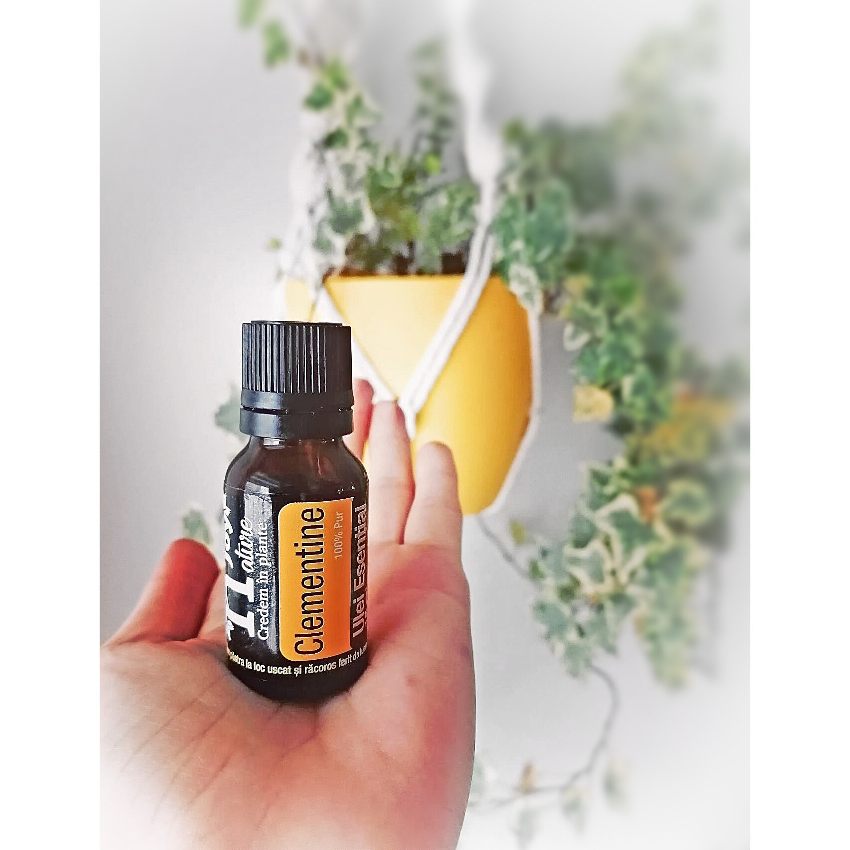 Етерично масло от Клементина, Clementine, nJoy Nature, 15 ml - eMAG.bg