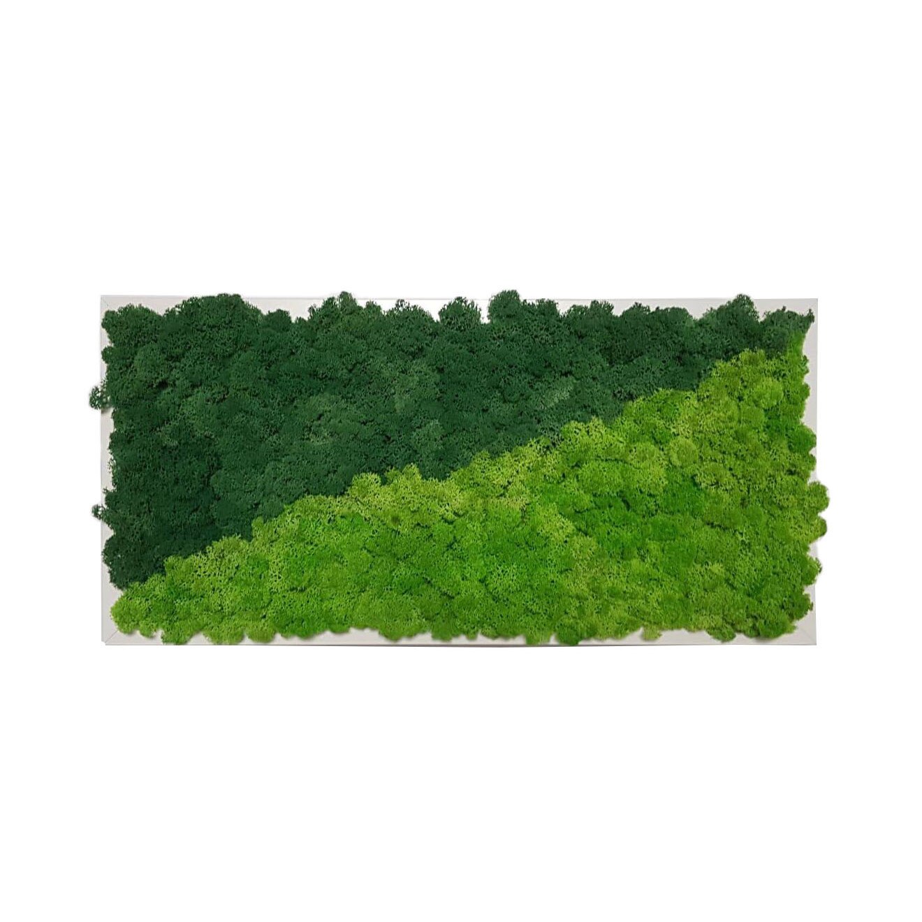 Aranjament floral, tablou verde 20/50cm - eMAG.ro