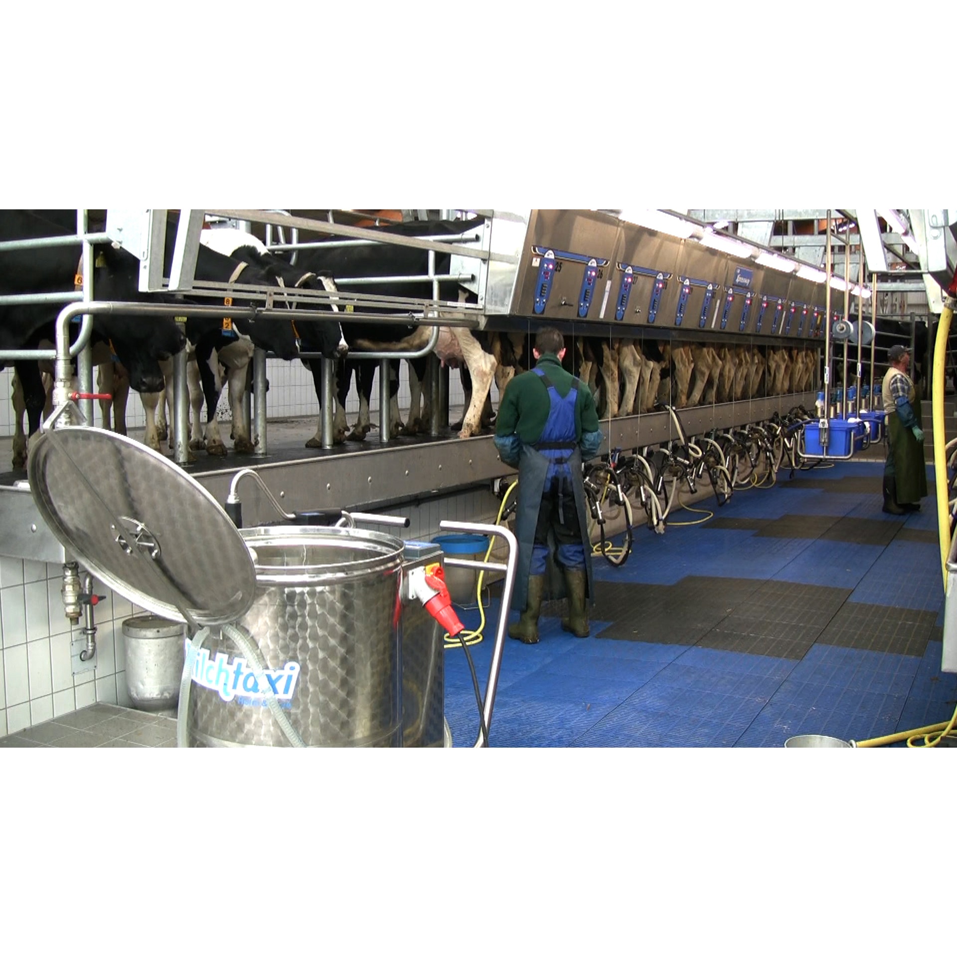 Milk Taxi pentru hranirea inteligenta a viteilor, 100 litri, HOLM ...