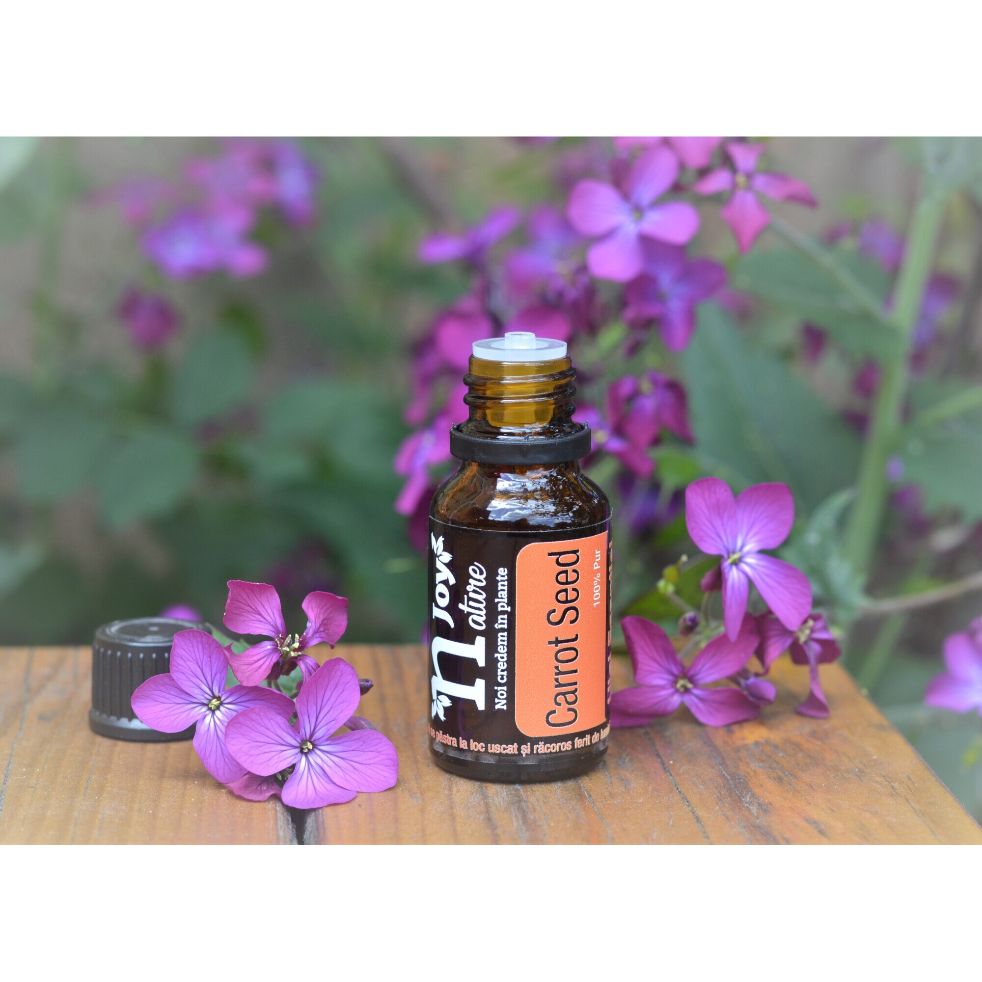 Етерично масло от семена на морков, nJoy Nature, 15 мл - eMAG.bg