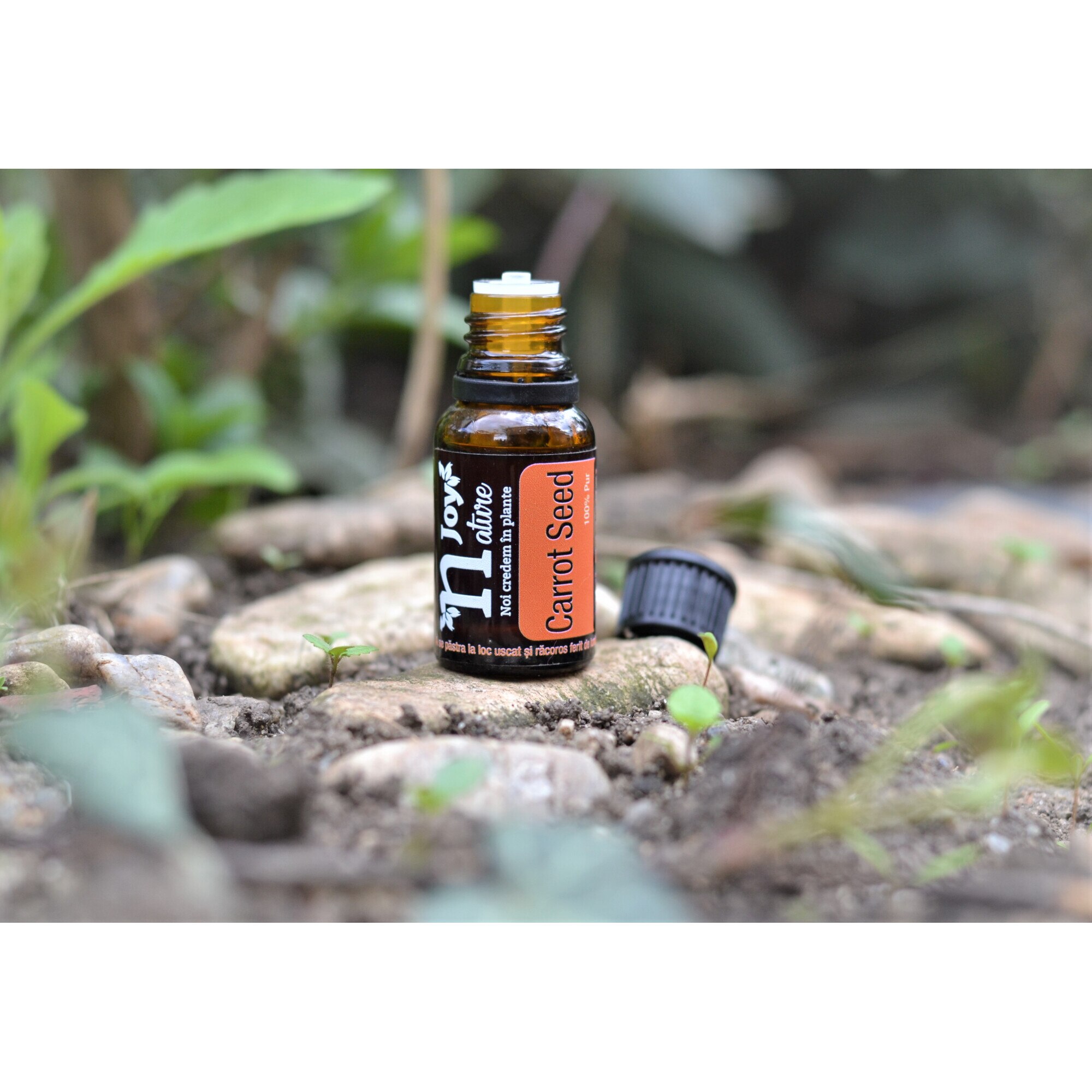 Етерично масло от семена на морков, nJoy Nature, 15 мл - eMAG.bg