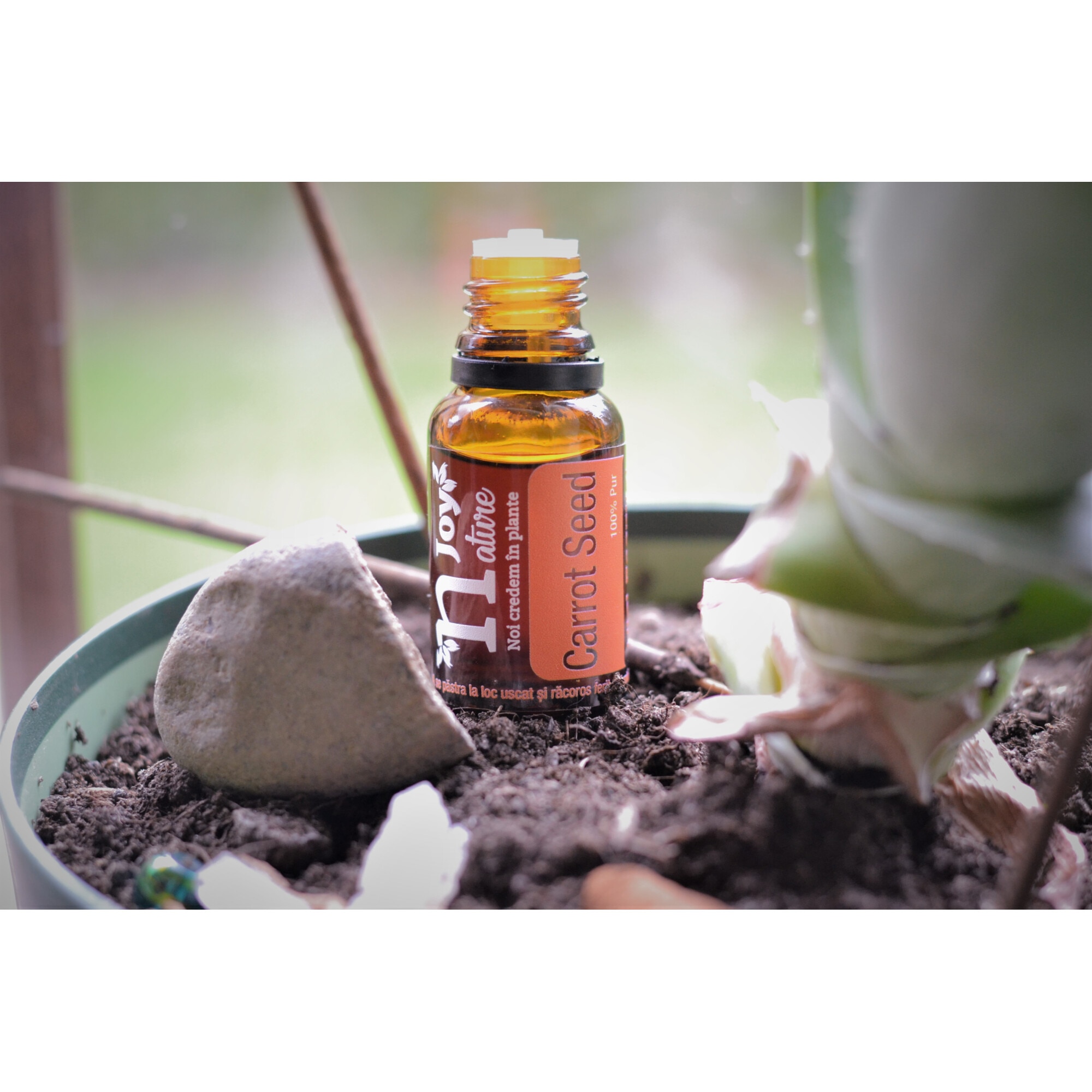 Етерично масло от семена на морков, nJoy Nature, 15 мл - eMAG.bg