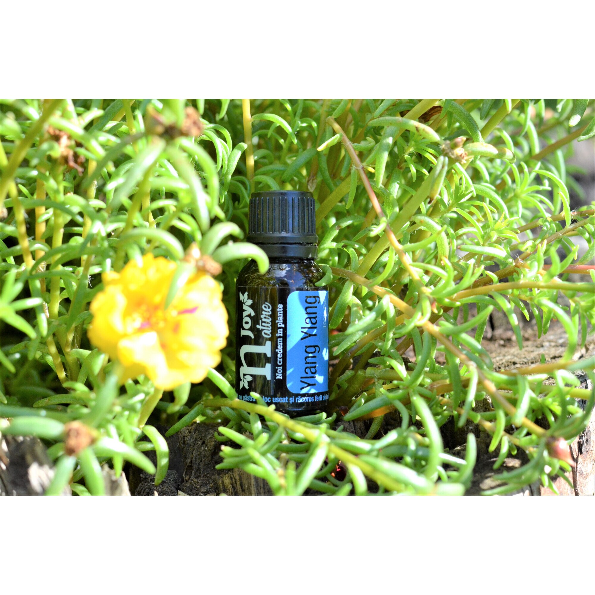 Етерично масло от иланг-иланг, nJoy Nature, 15 мл - eMAG.bg