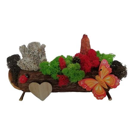 Decoratiune cu licheni pe bustean de lemn, Inlemnit Royal, cu fluturas ...