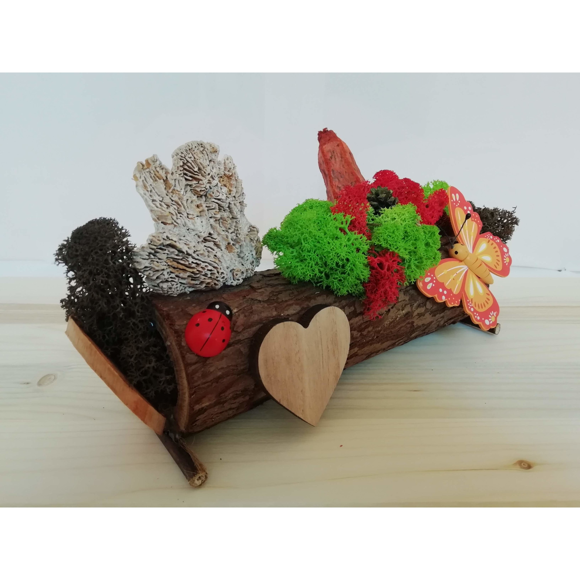 Decoratiune cu licheni pe bustean de lemn, Inlemnit Royal, cu fluturas ...