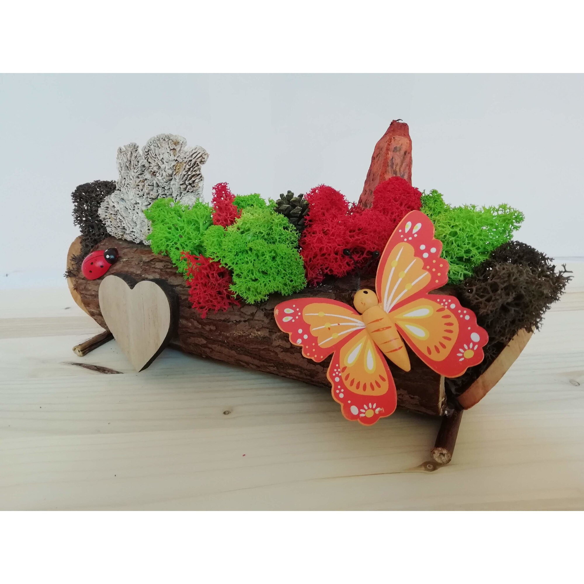 Decoratiune cu licheni pe bustean de lemn, Inlemnit Royal, cu fluturas ...