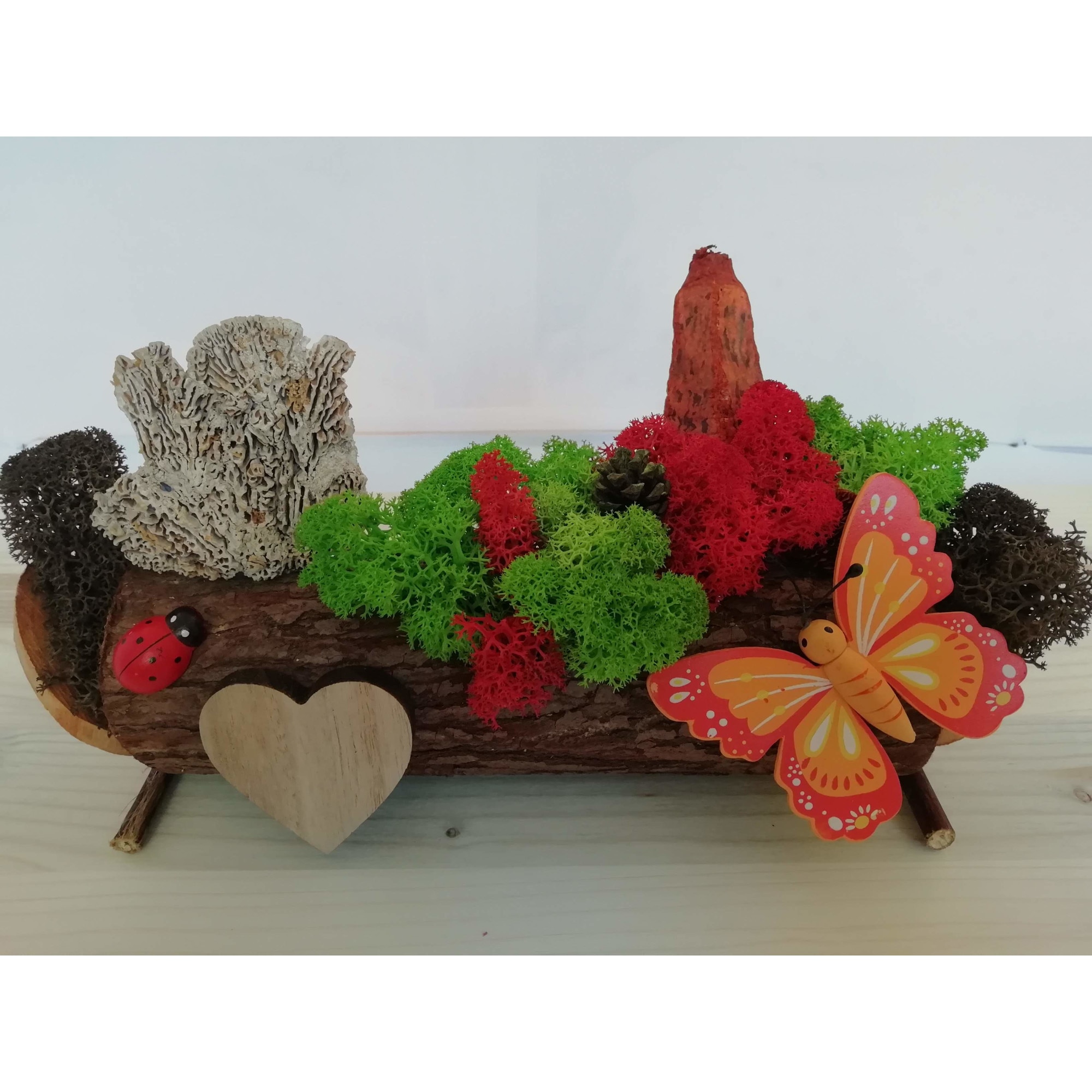 Decoratiune cu licheni pe bustean de lemn, Inlemnit Royal, cu fluturas ...