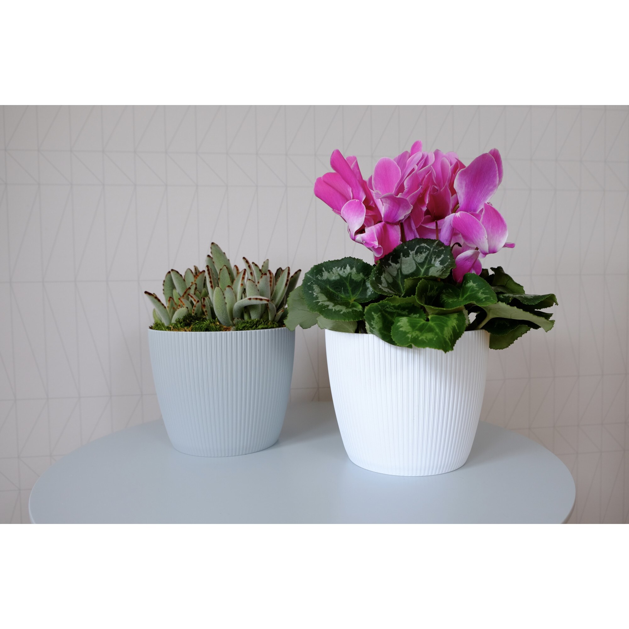 Ghiveci Luxury Garden Magnolia Jumper 160 cu tava Alb 752-05 - eMAG.ro