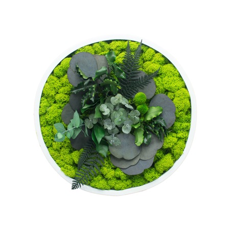 Tablou rotund, licheni si plante naturale stabilizate, Corner of Heaven ...