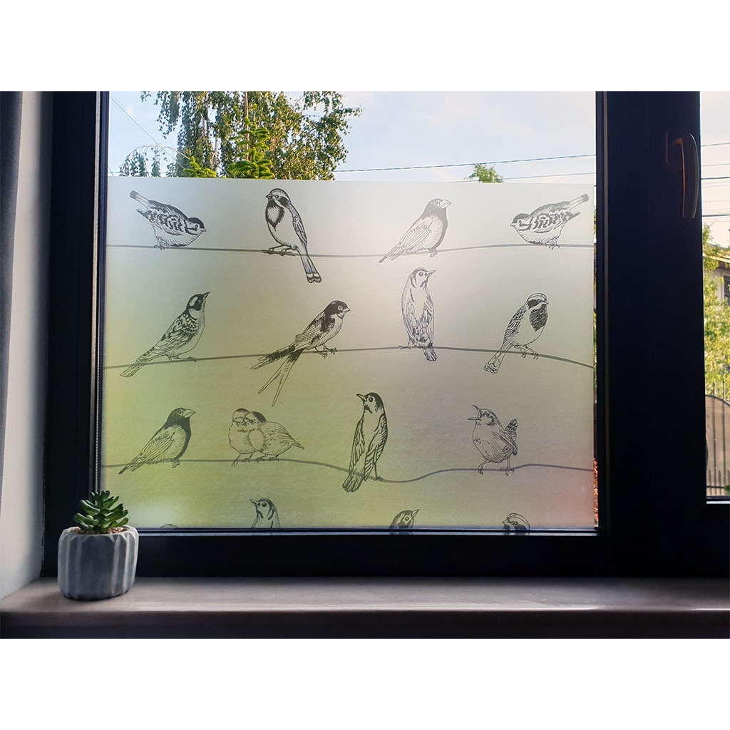 Folie geam autoadeziva Birdy, Folina, model pasari gri, rola de 100x100 ...