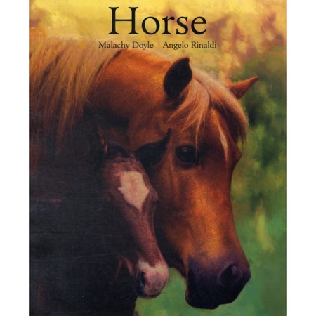 Horse de Malachy Doyle - eMAG.ro