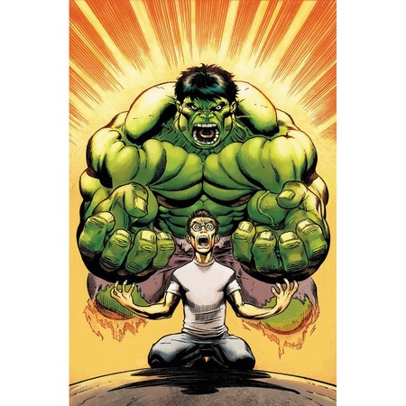 Hulk By Loeb & Mcguinness Omnibus de Jeph Loeb - eMAG.ro