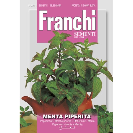 Seminte de Menta - eMAG.ro