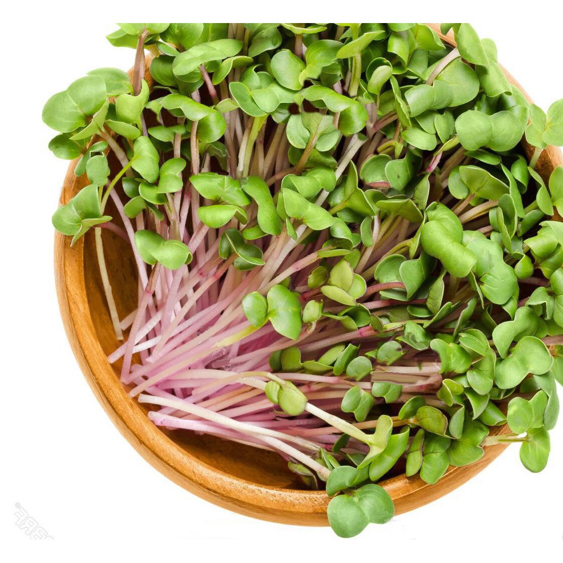 Seminte micro-plante pentru consum Microgreen BIO Blumen, soi Ravanello ...