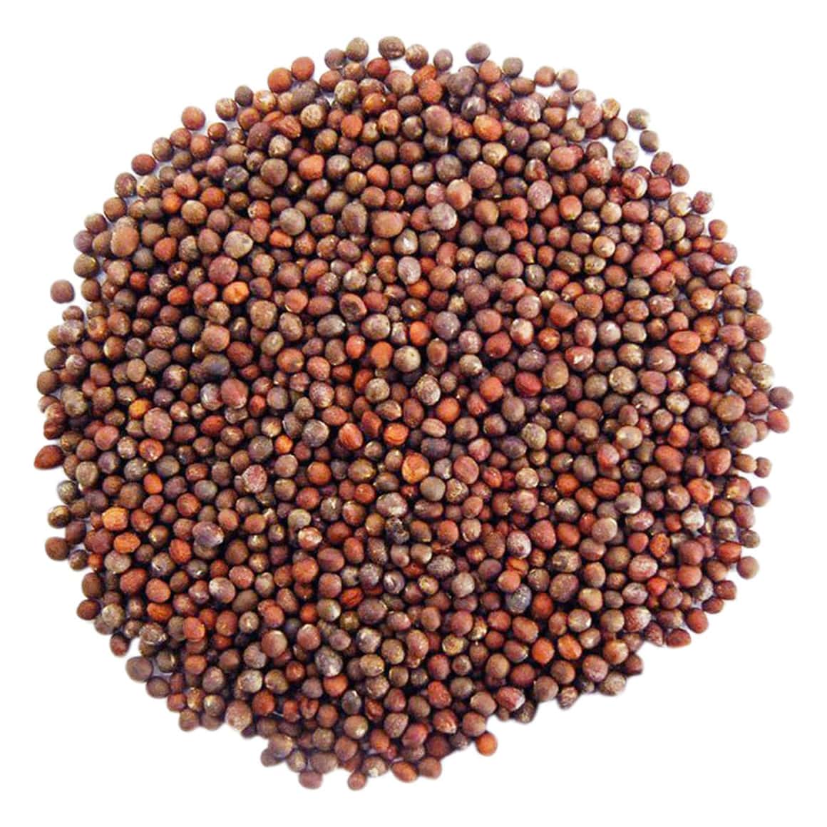 Seminte micro-plante pentru consum Microgreen BIO Blumen, soi Broccoli ...