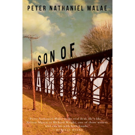 Son of Amity de Peter Nathaniel Malae - eMAG.ro