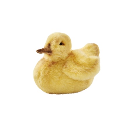 Rata salbatica pui din plus, Hansa Creation, galben - eMAG.ro