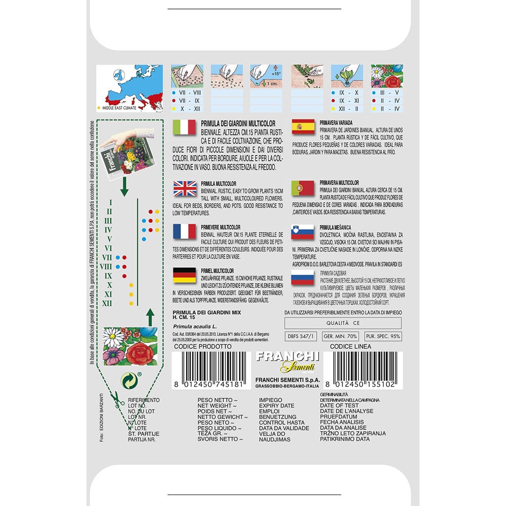 Seminte de primula de gradina multicolor - eMAG.ro