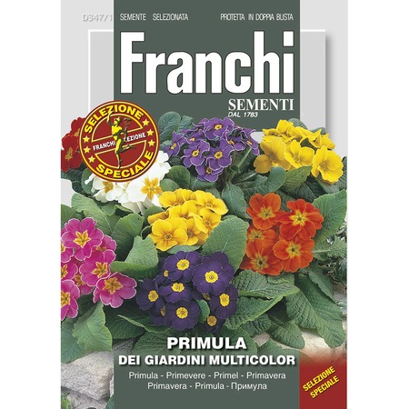 Seminte de primula de gradina multicolor - eMAG.ro