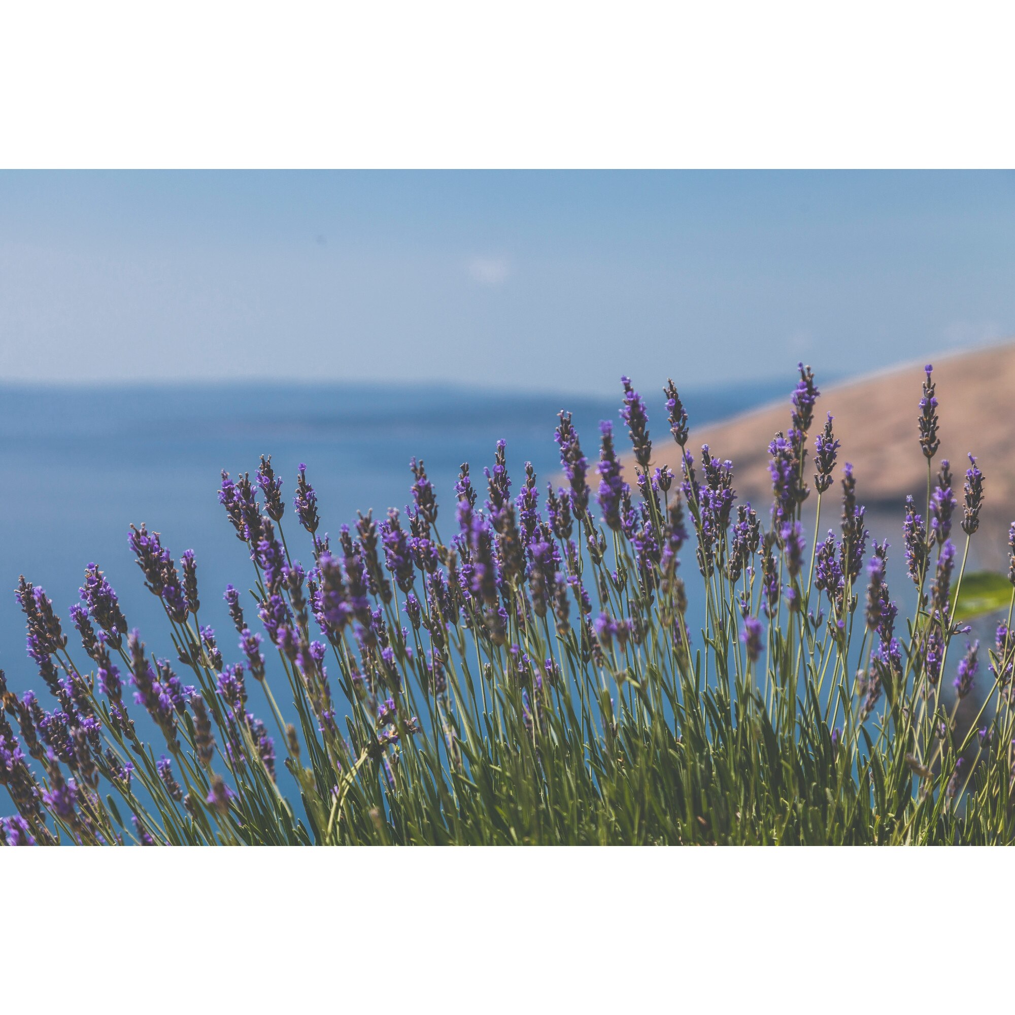 Дифузер за етерични масла Emag Bg