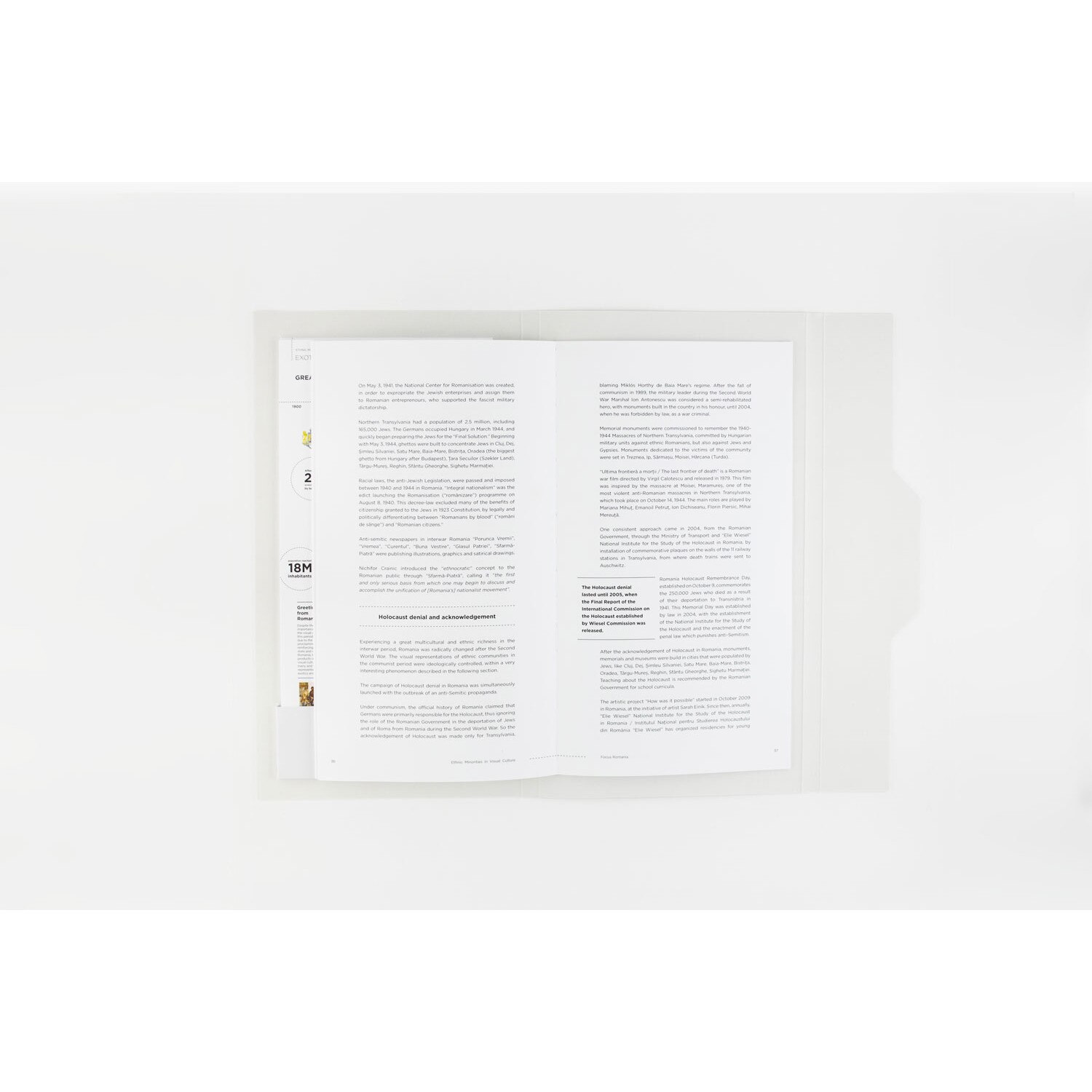 Ethnic Minorities in Visual Culture - Focus Romania - Cosmin Nasui ...