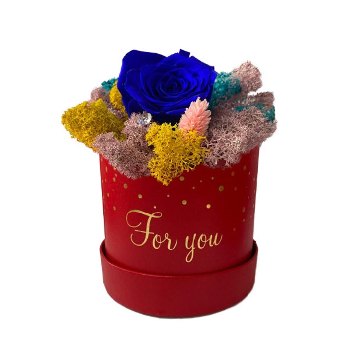 Trandafir criogenat albastru, in cutie rosie, pe pat multicolor de ...