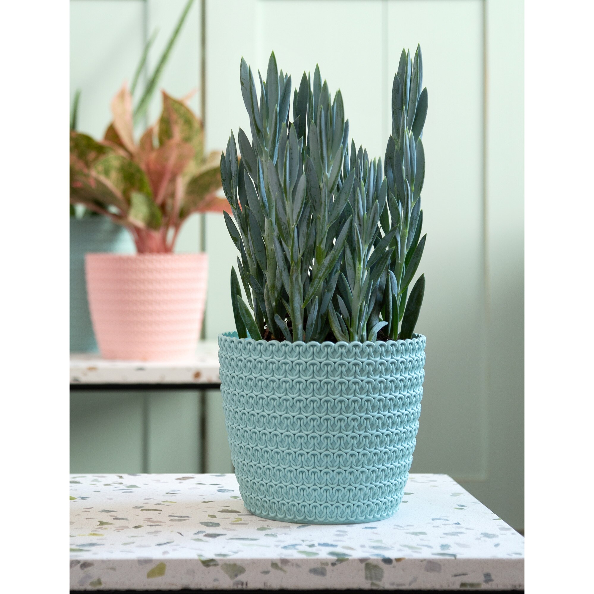 Ghiveci Luxury Garden Magnolia Jersey 160 Mint 732-66 - eMAG.ro