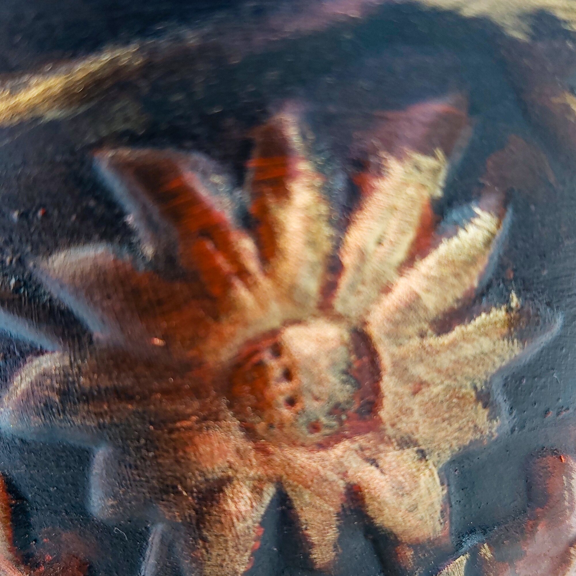 Ghiveci flori cu farfurie si orificiu scurgere, gradina/foisor/balcon ...