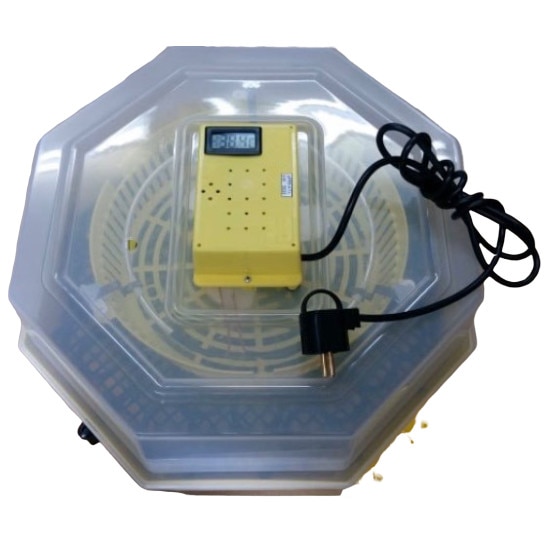 Incubator, Cleo 5, Semiautomat, Pentru 60 buc. oua - eMAG.ro