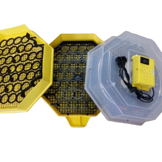 Incubator, Cleo 5, Semiautomat, pentru 82 buc. oua, cu higrometru - eMAG.ro