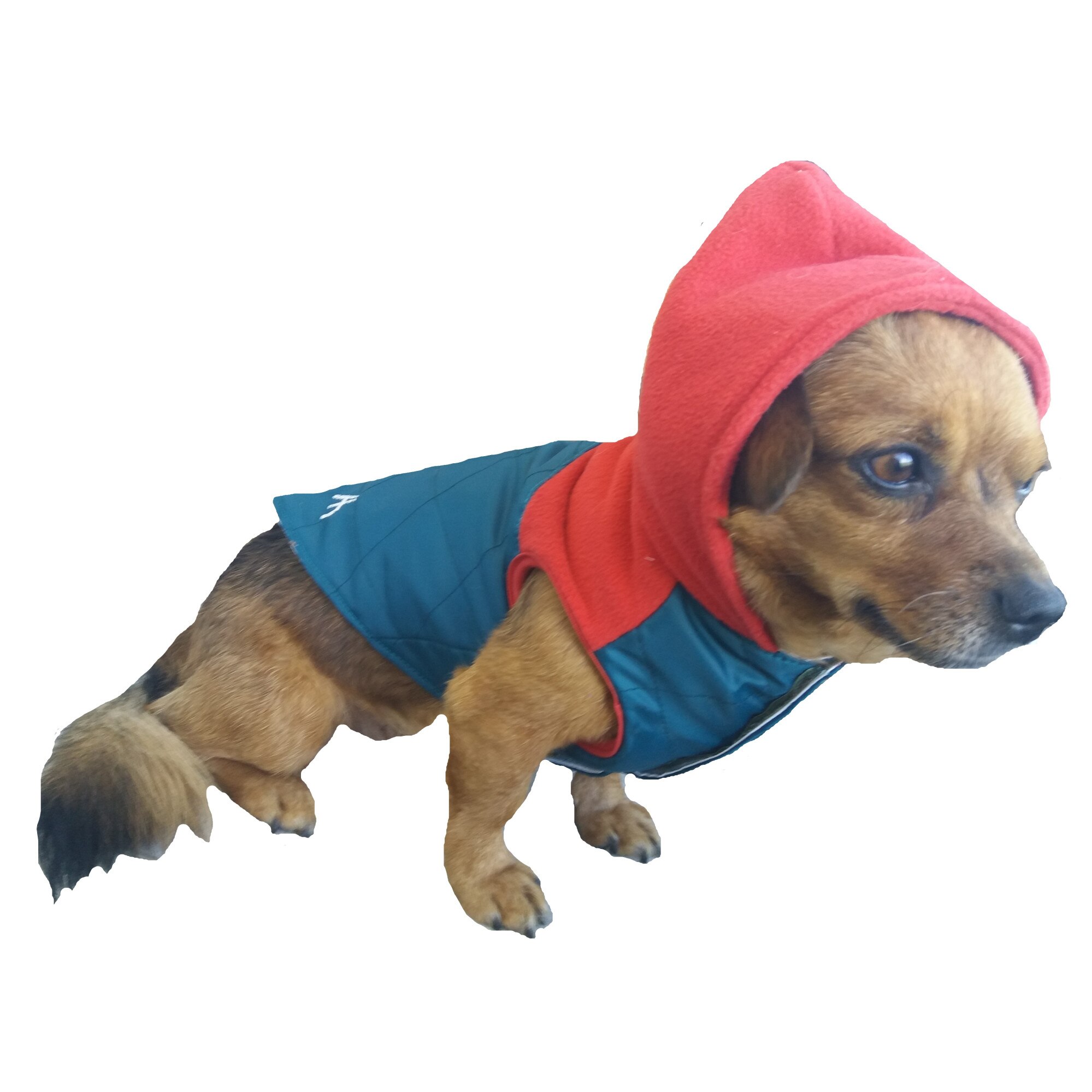 Gecuta CLABUCEL, Euroanimode, Multicolor, S - eMAG.ro