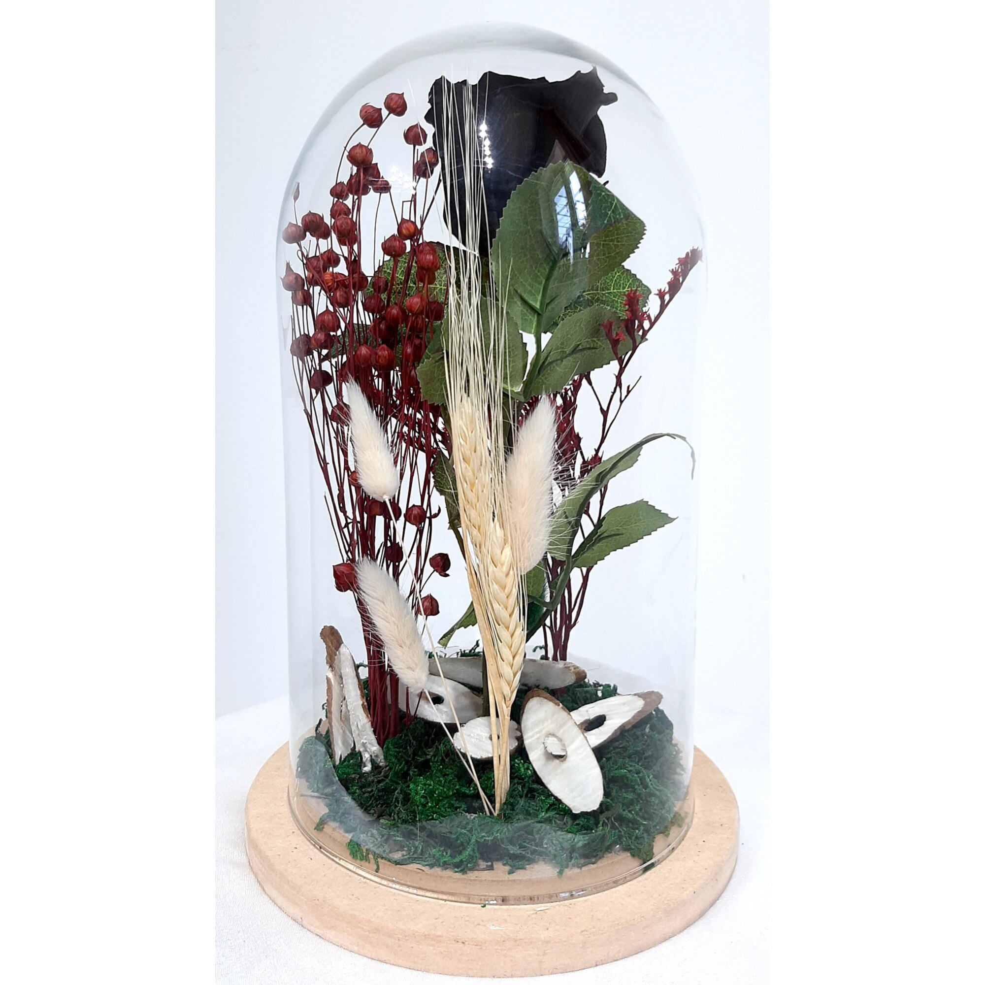 Trandafir criogenat, negru, cupola 28x10 cm - eMAG.ro