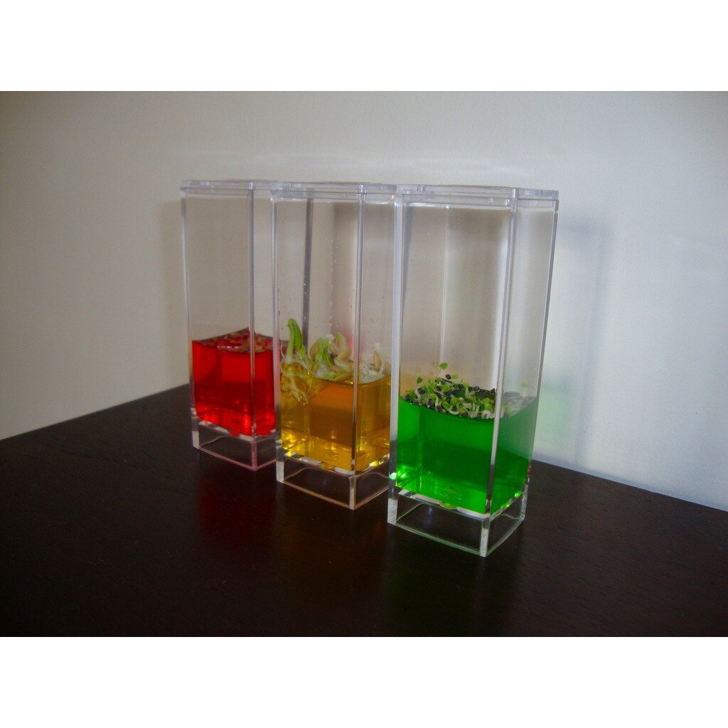 Set Micul Gradinar - eMAG.ro