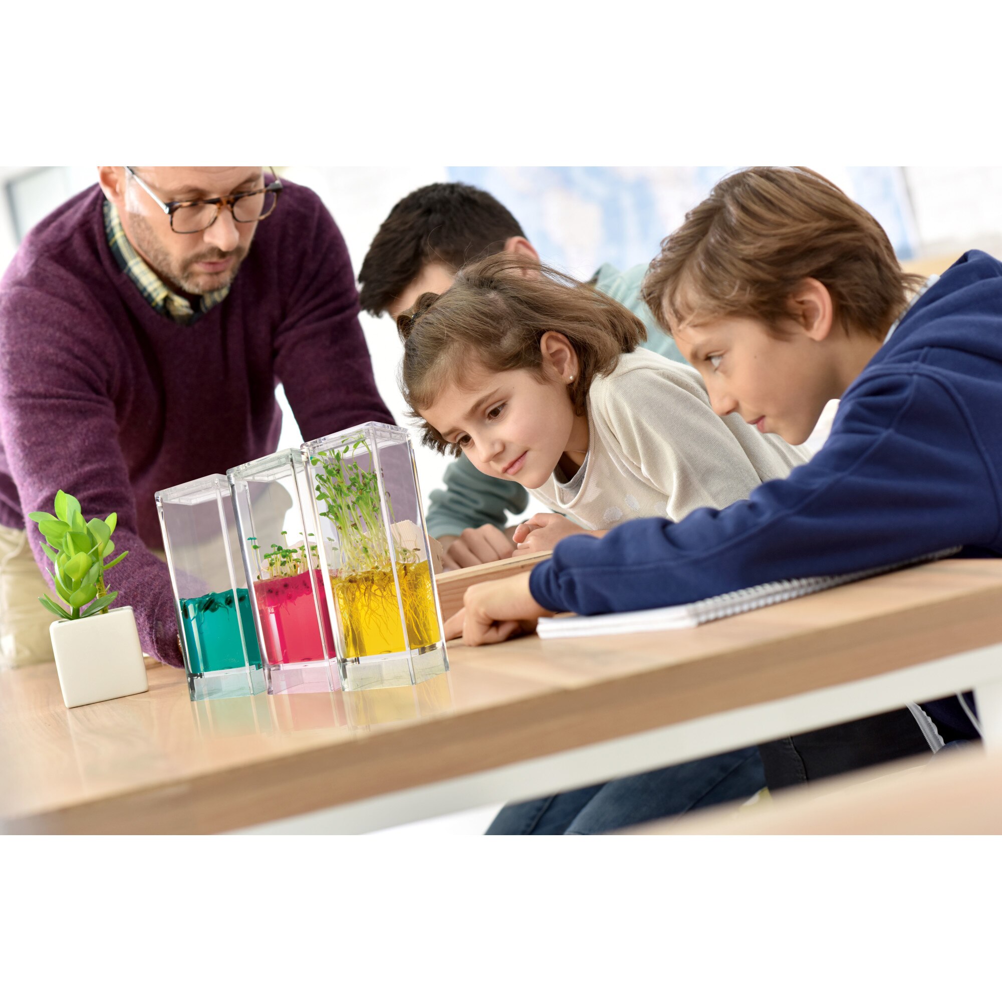 Set Micul Gradinar - eMAG.ro