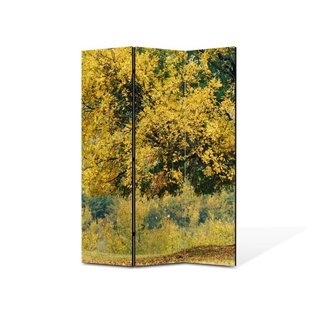 Paravan de Camera Premium Modern BTex ArtDecoMag din 3 Panouri Peisaj ...