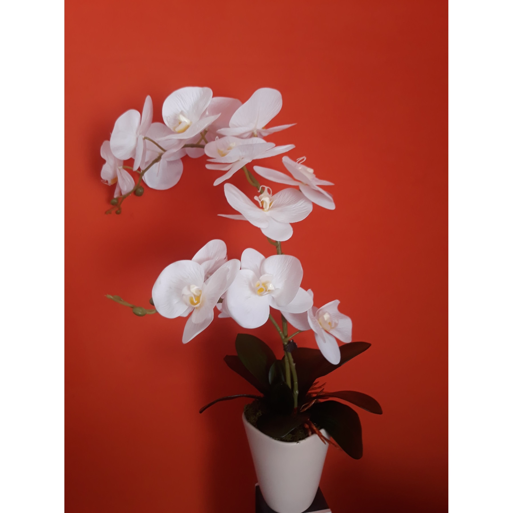 Aranjament floral orhidee albe - eMAG.ro