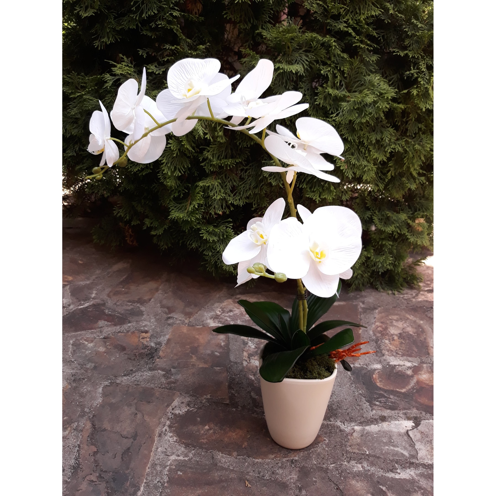 Aranjament floral orhidee albe - eMAG.ro