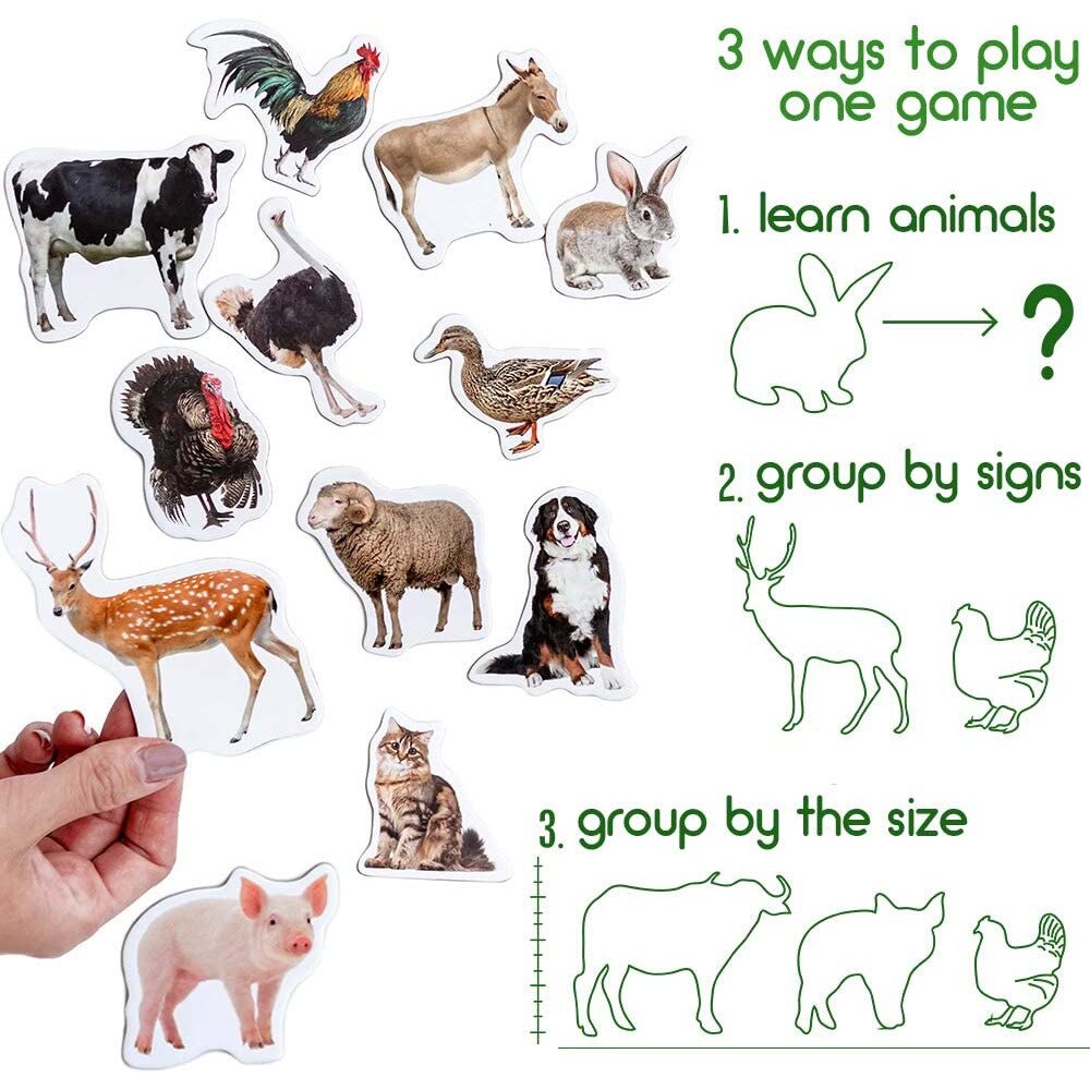 Set magneti de jucarie, MAGDUM, Farm Animals Photo, Multicolor, 16 ...
