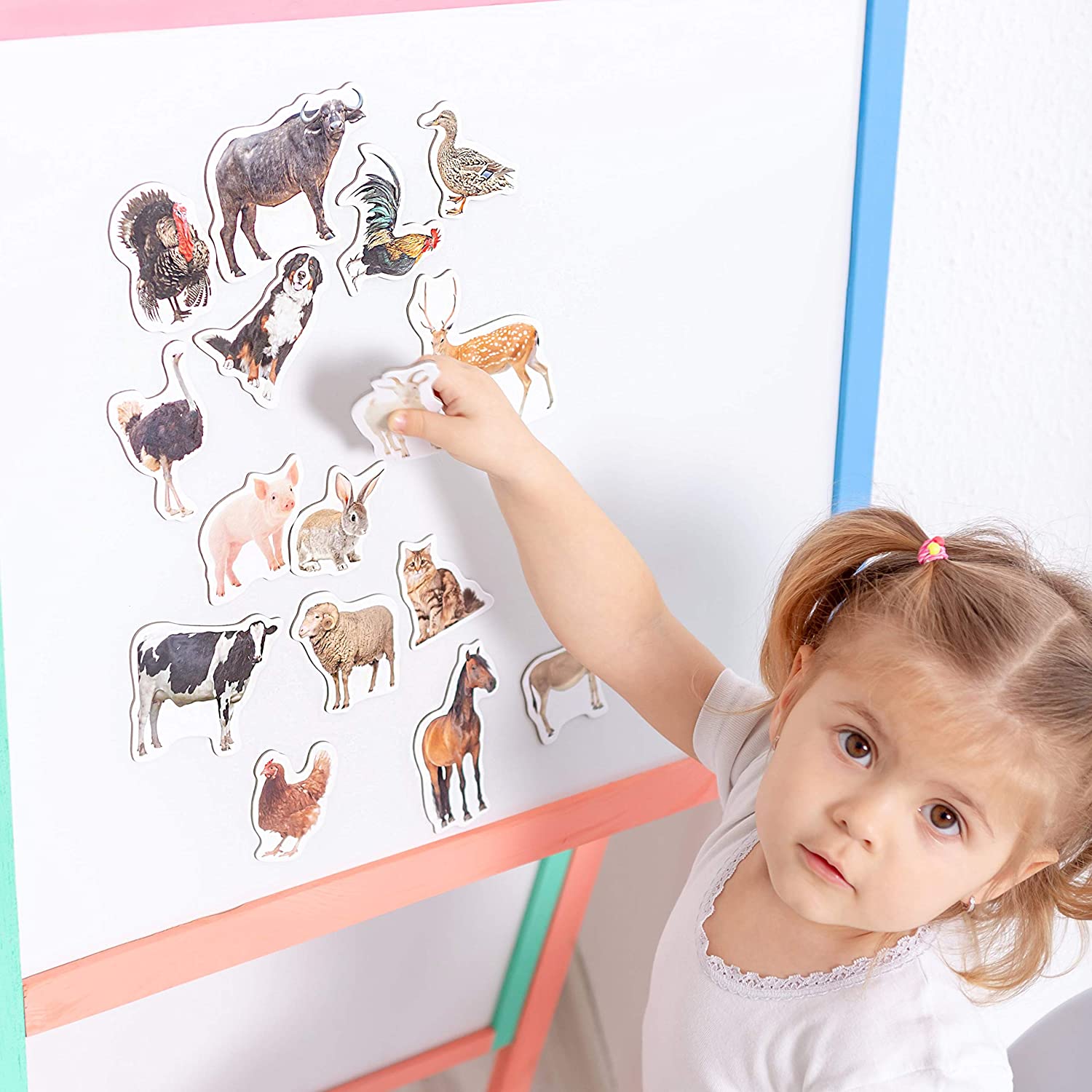 Set magneti de jucarie, MAGDUM, Farm Animals Photo, Multicolor, 16 ...
