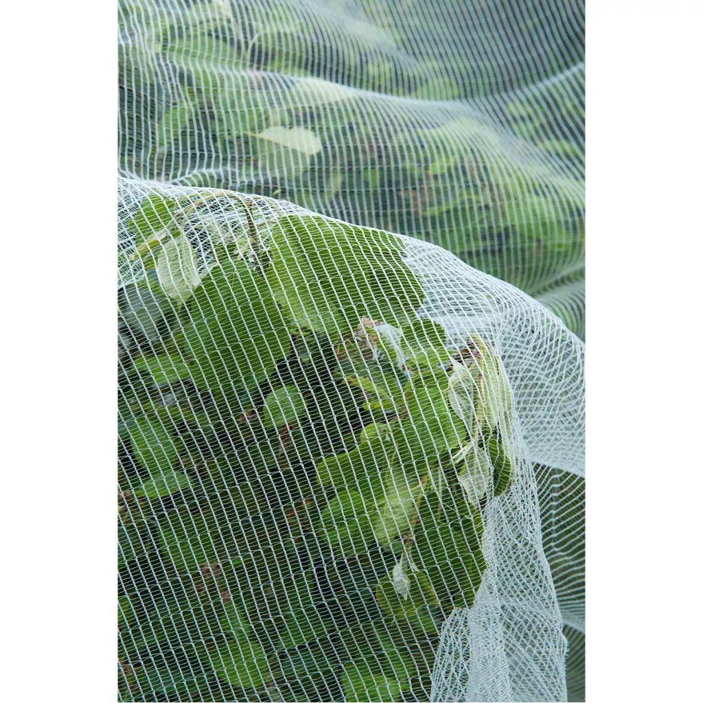 Plasa anti insecte, Nature, Polietilena,5,2 x 5 m, Transparent - eMAG.ro