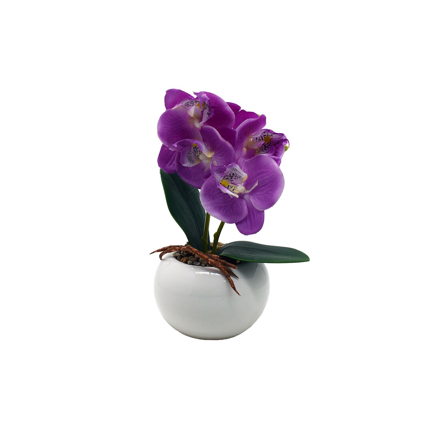 Orhidee in ghiveci, Naimeed, D2847 mov - eMAG.ro
