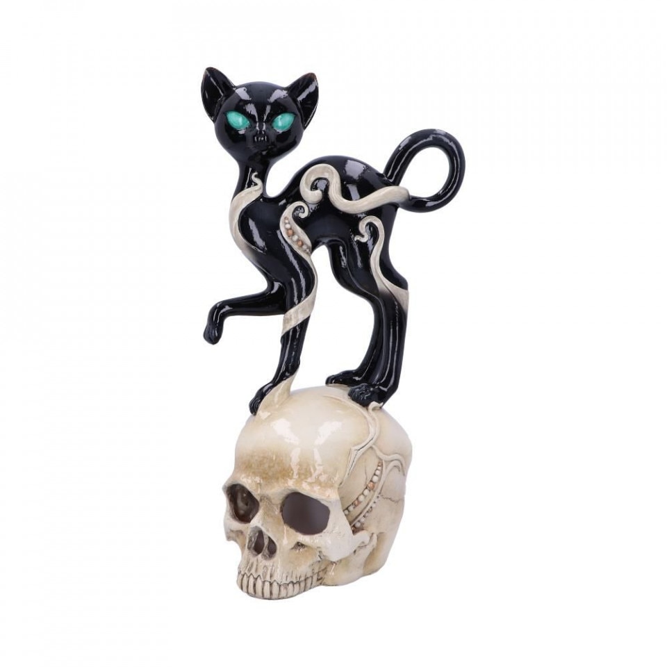 Statueta pisica pe craniu Feline Fate 35 cm - eMAG.ro