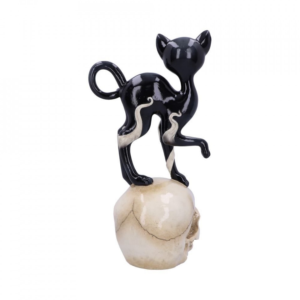 Statueta pisica pe craniu Feline Fate 35 cm - eMAG.ro
