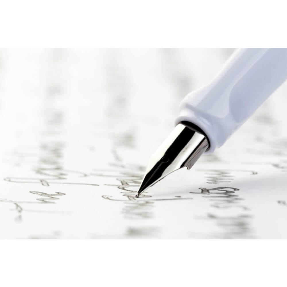 Stilou ECADA, Model Champion, Multicolor, Plastic, Penita Iridium Tip M - eMAG.ro