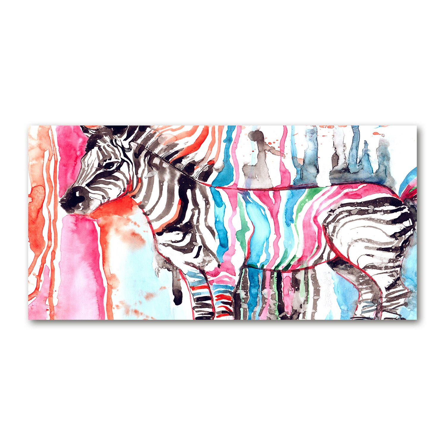 Pictura pe panza, 120x 60cm, Decorarea peretilor "Zebra colorata” - eMAG.ro