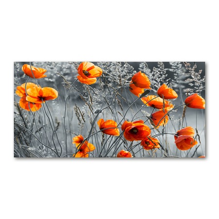 Pictura pe panza, 120 cm x 60 cm, Decorarea peretilor - Maci de camp ...