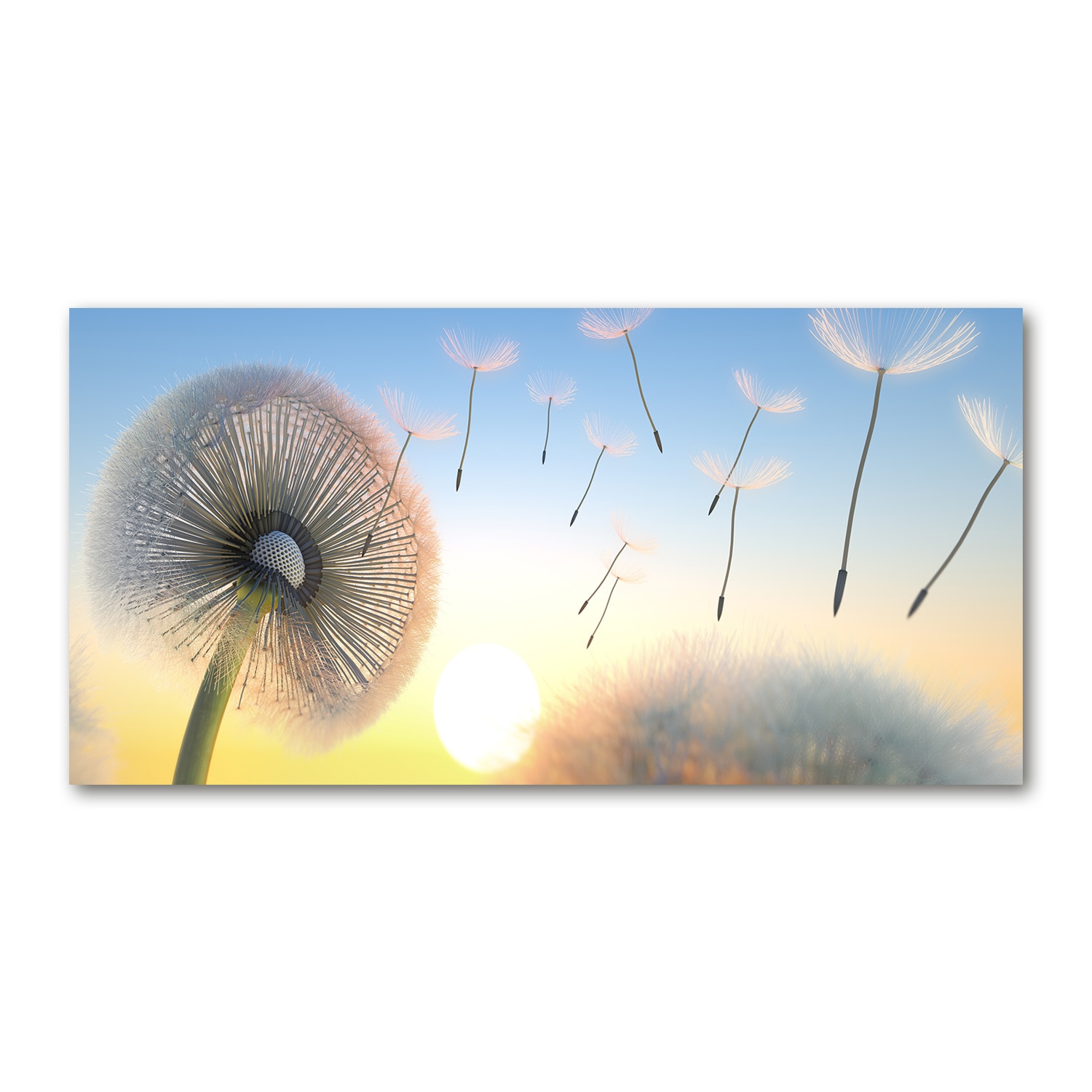 Pictura pe panza, 100 cm x 50, Decorarea peretilor, Papadie - eMAG.ro