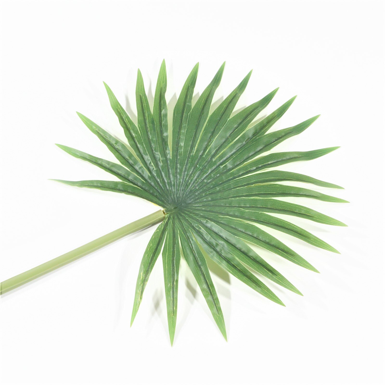 Frunza Artificiala De Palmier, Verde 66 cm - eMAG.ro