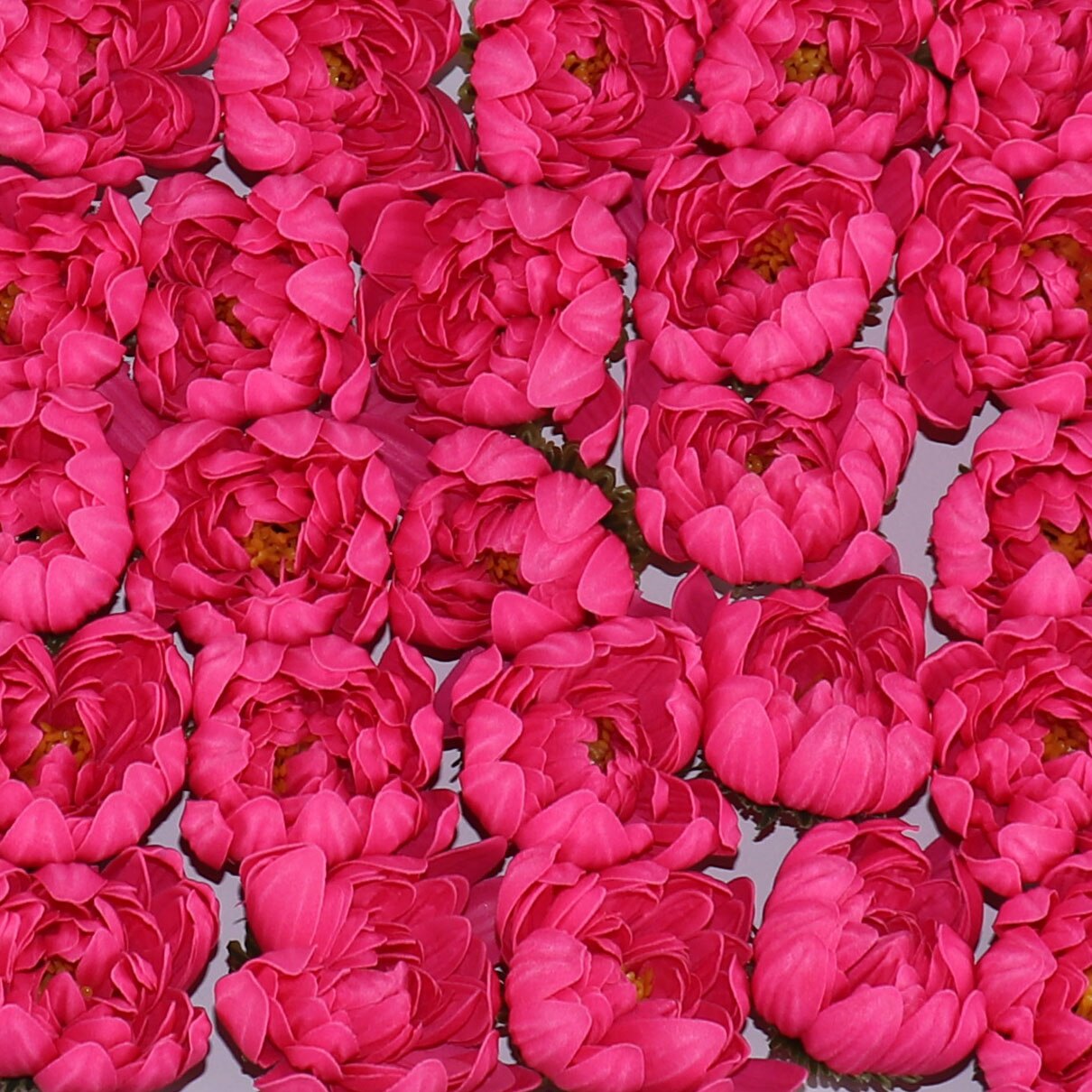 Nuferi din sapun, 50 Buc/Set, CD4083-Roz - eMAG.ro