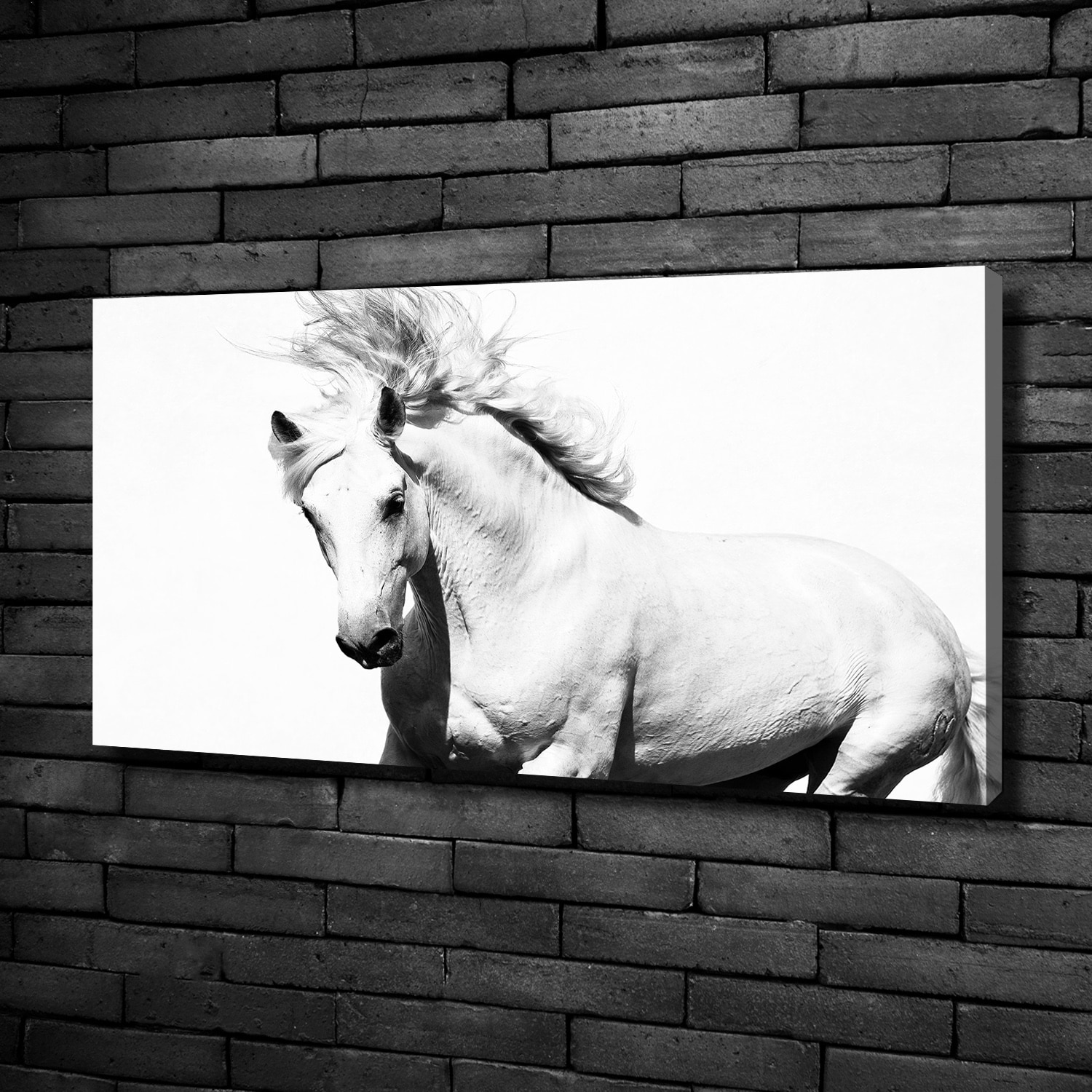 Pictura pe panza, 100x 50cm, Decorarea peretilor "cal alb” - eMAG.ro